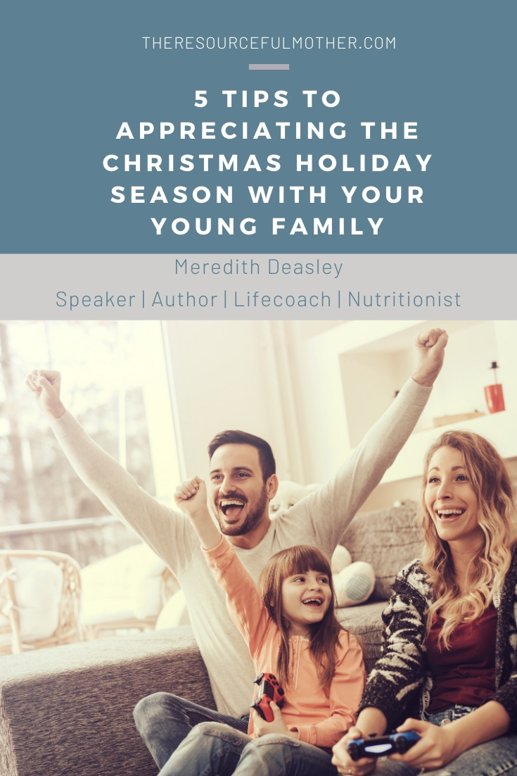 5 Tips to Appreciating the Christmas Holiday Season With Your Young ...